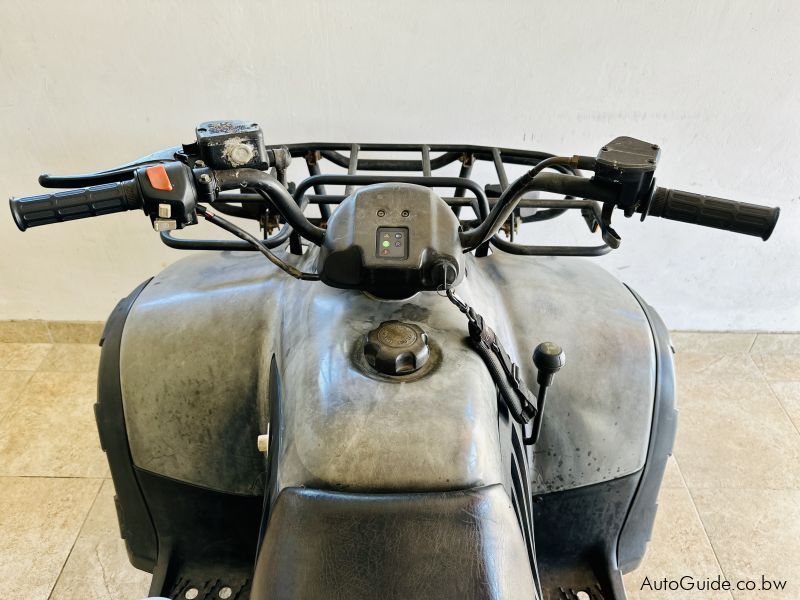 Used Linhai RUSTLER XL 260 | 2010 RUSTLER XL 260 for sale | Gaborone ...