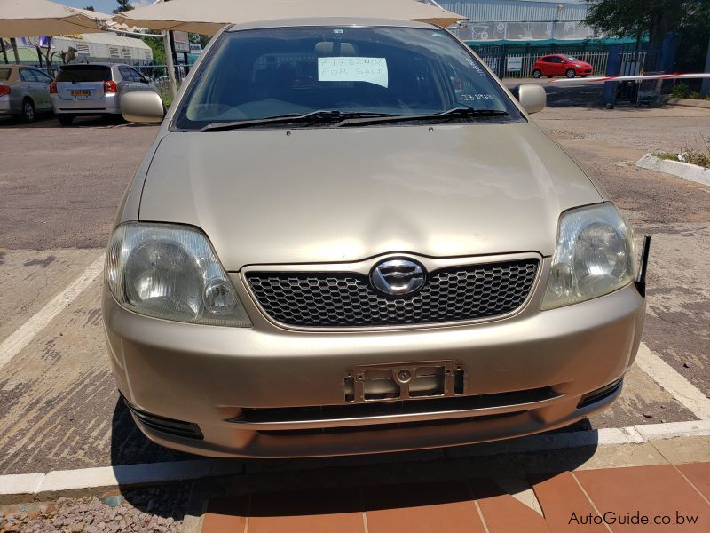 Used Toyota Runx 2001 Runx For Sale Gaborone Toyota Runx Sales Toyota Runx Price P 52000
